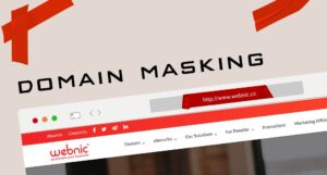 What is Domain Masking: Everything you need to know about it - WebNIC