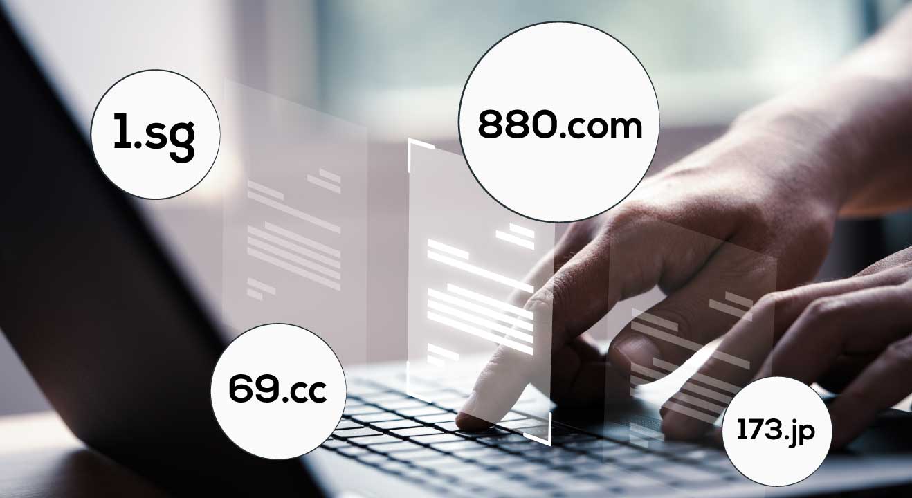 Numeric Domain Names: Advantages, Disadvantages and Impact on SEO - WebNIC